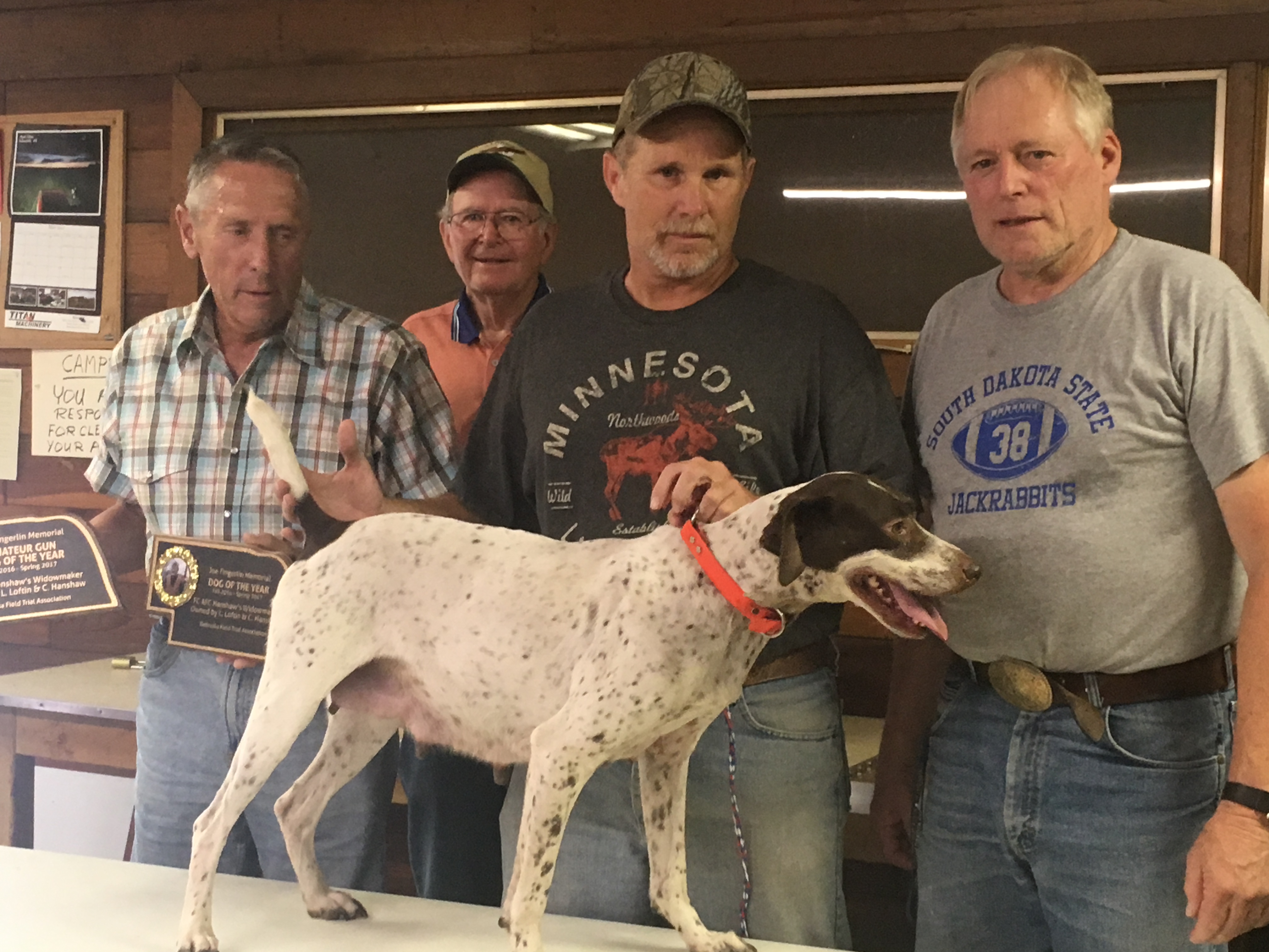 Field Trial Dog Of The Year